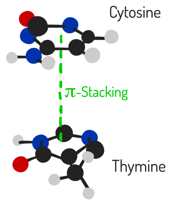 DNA Structure – Eightfold