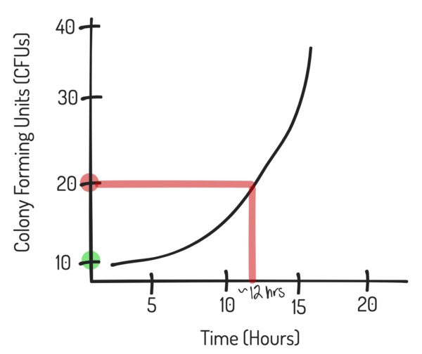 Prokaryotic Reproduction and Growth – Eightfold